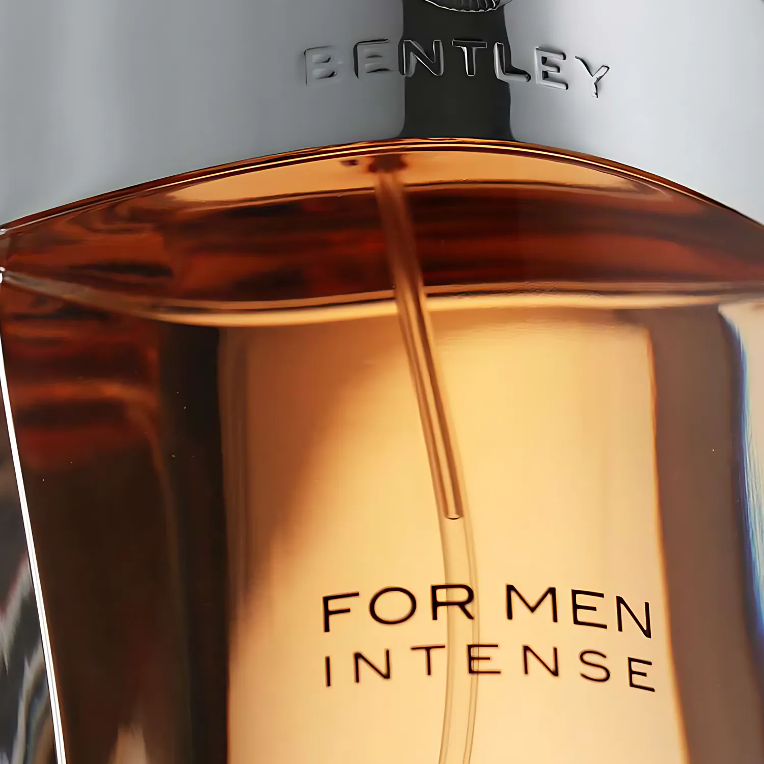 Intense Perfume By Bentley EDP For Men 100 ml